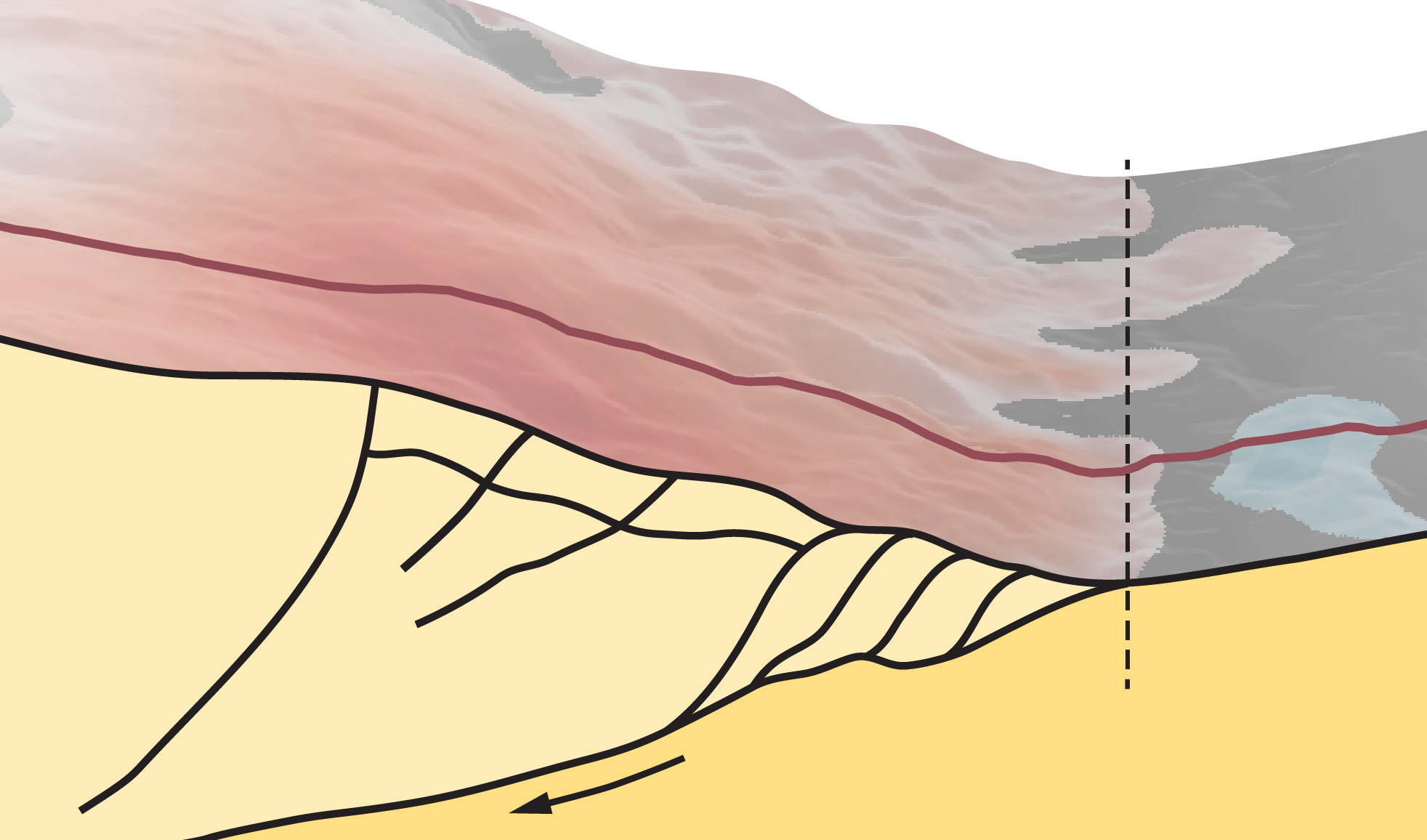 Subduction Zone and Tsunami Processes